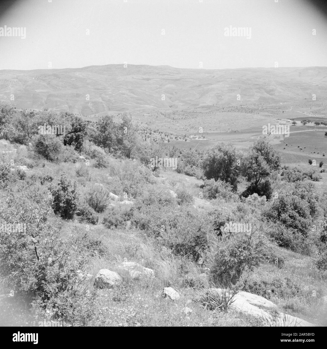 The land of gilead Black and White Stock Photos & Images - Alamy