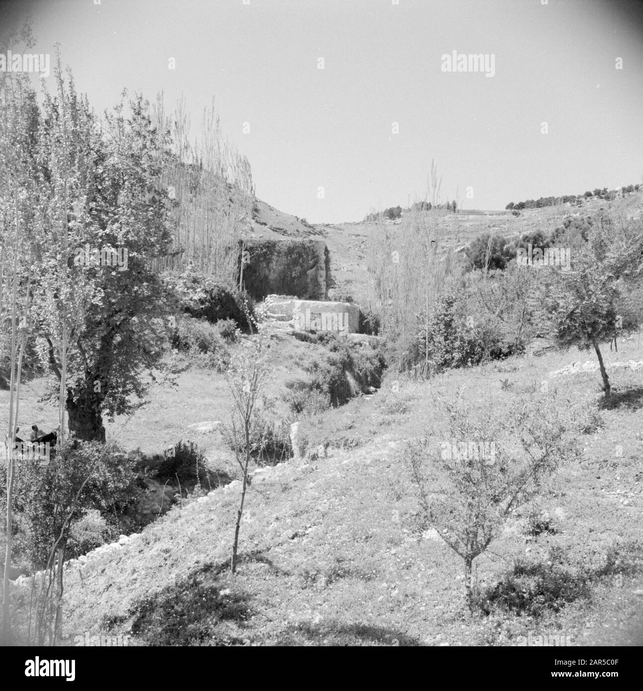 Gilead jordan hi-res stock photography and images - Alamy