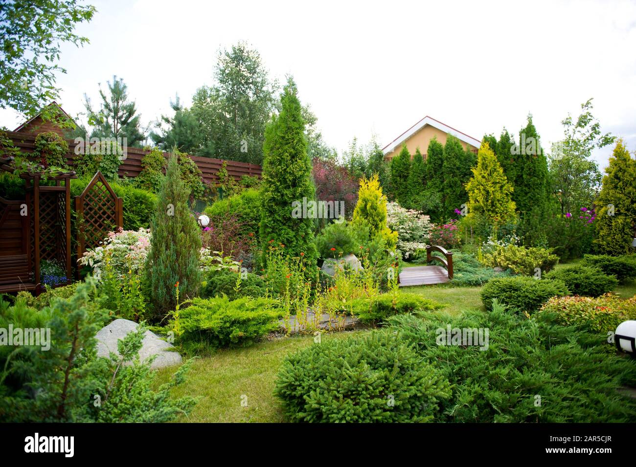 Trees Planted Too Close High Resolution Stock Photography and Images ...