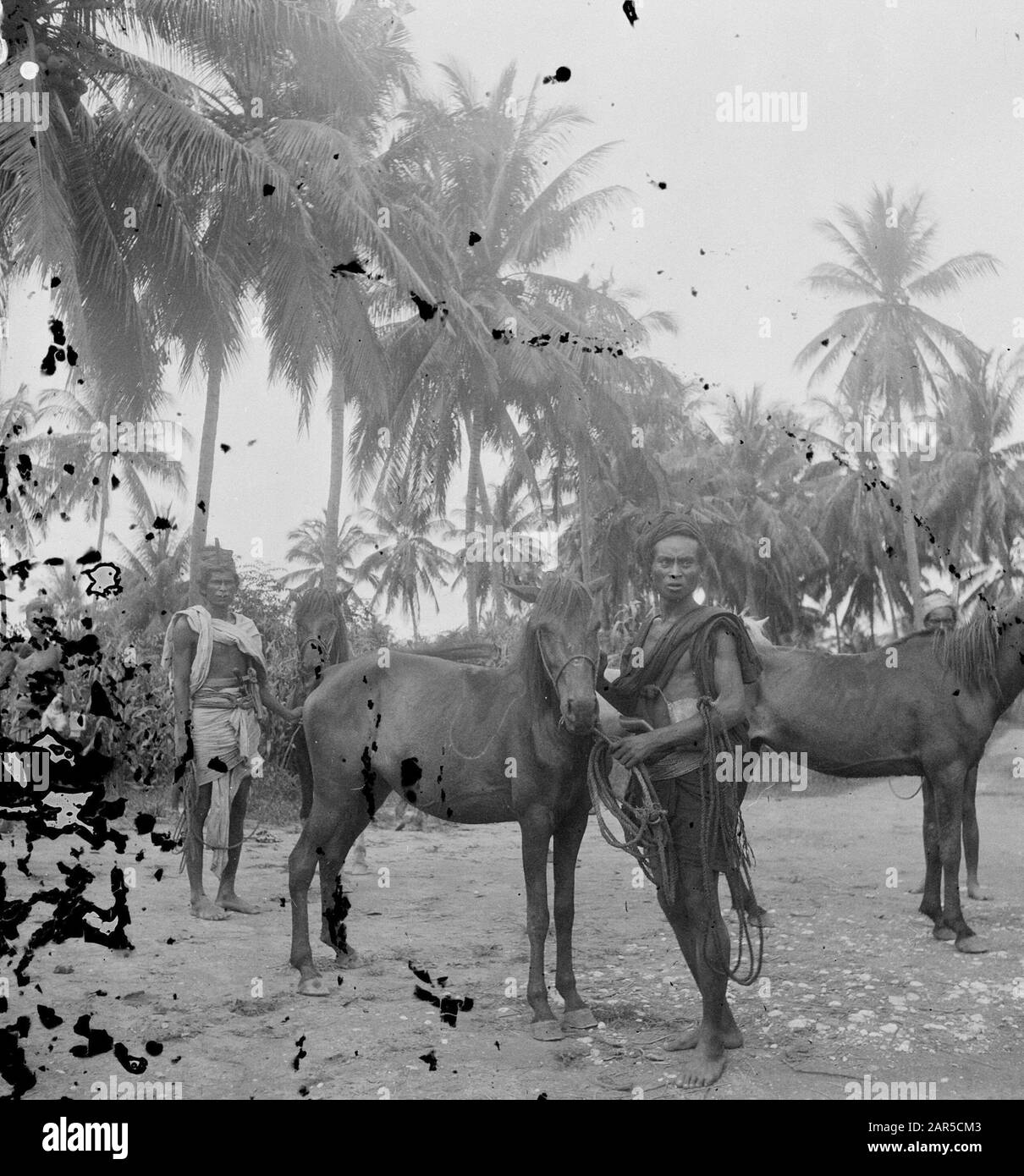 [Indonesian riders with horses. Sumbawa?] Date: 1946/01/01 Location ...
