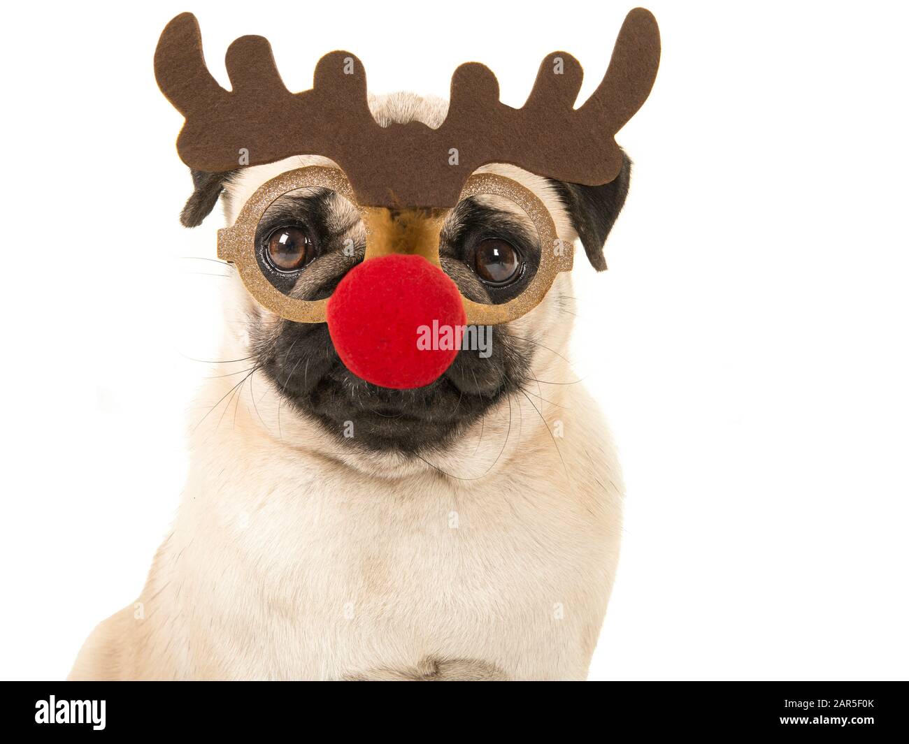 Rudolf the red nose raindeer hi-res stock photography and images - Alamy