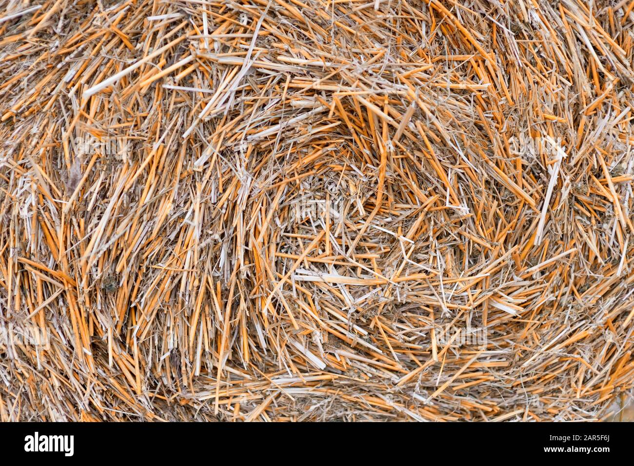 haystack closeup, agricultural theme captured in cloudy daytime Stock ...