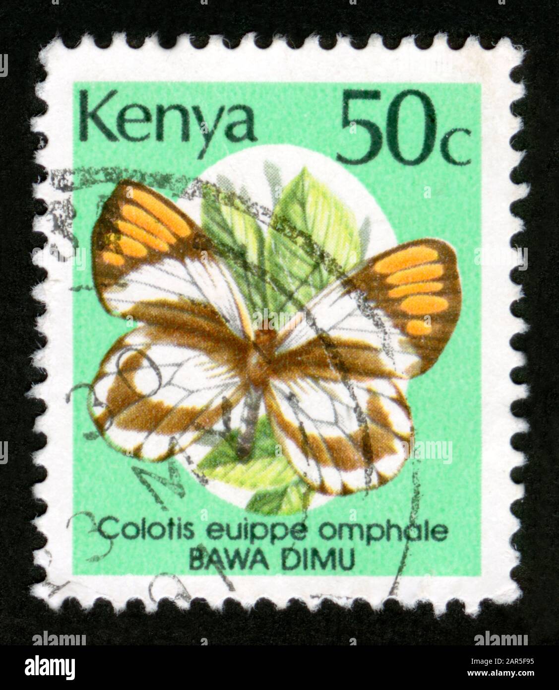 Colotis hi-res stock photography and images - Alamy