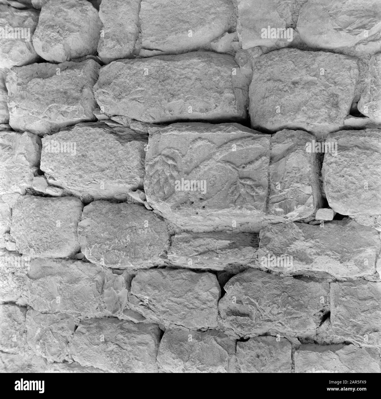 Pekiin hi-res stock photography and images - Alamy