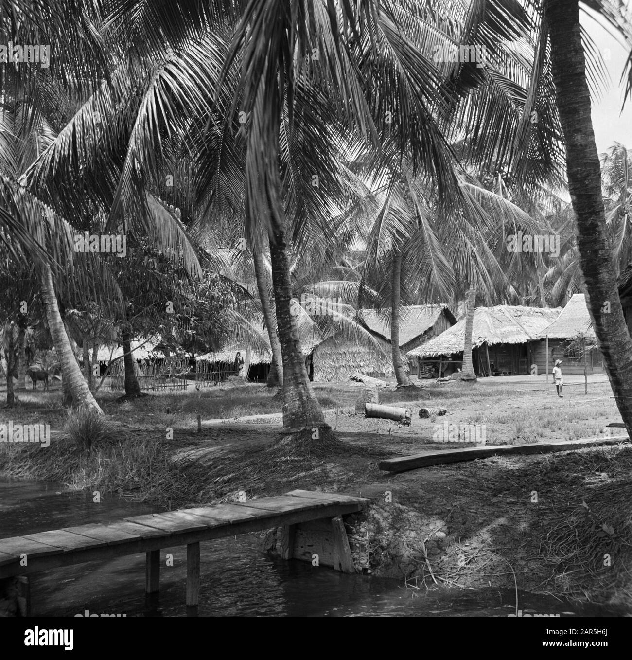 Travel to Suriname and the Netherlands Antilles Javanese kampong ...