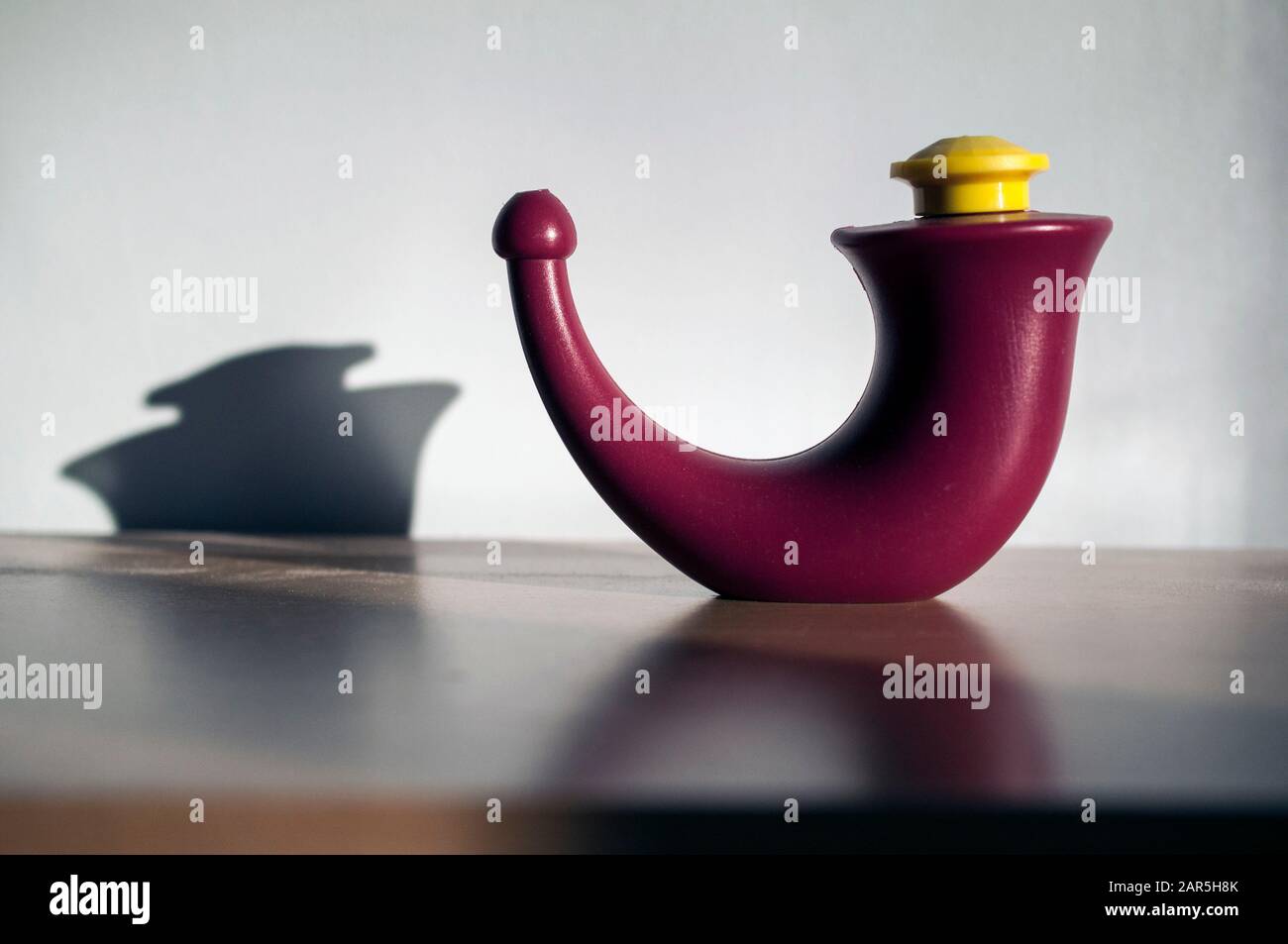 A neti pot for nasal irrigation in ancient Ayurvedic tradition ...