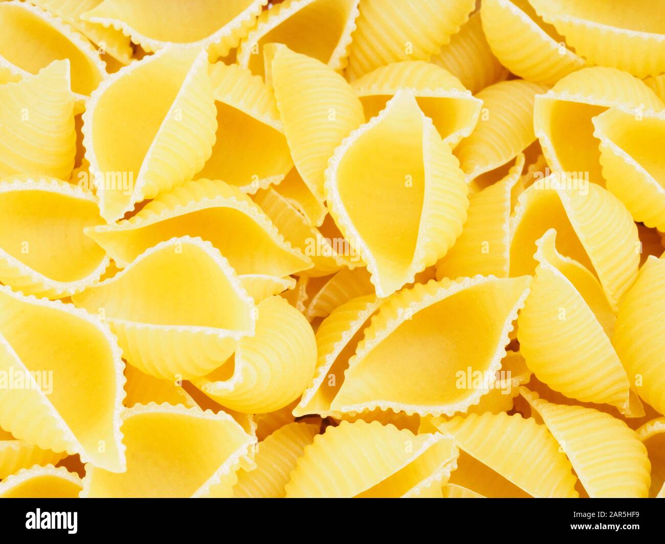 Background from pasta type shell. Healthy eating concept Stock Photo ...