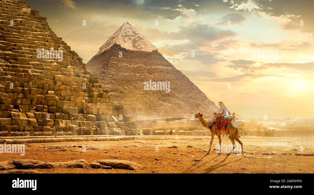 Nomad on camel near pyramids in egyptian desert Stock Photo - Alamy