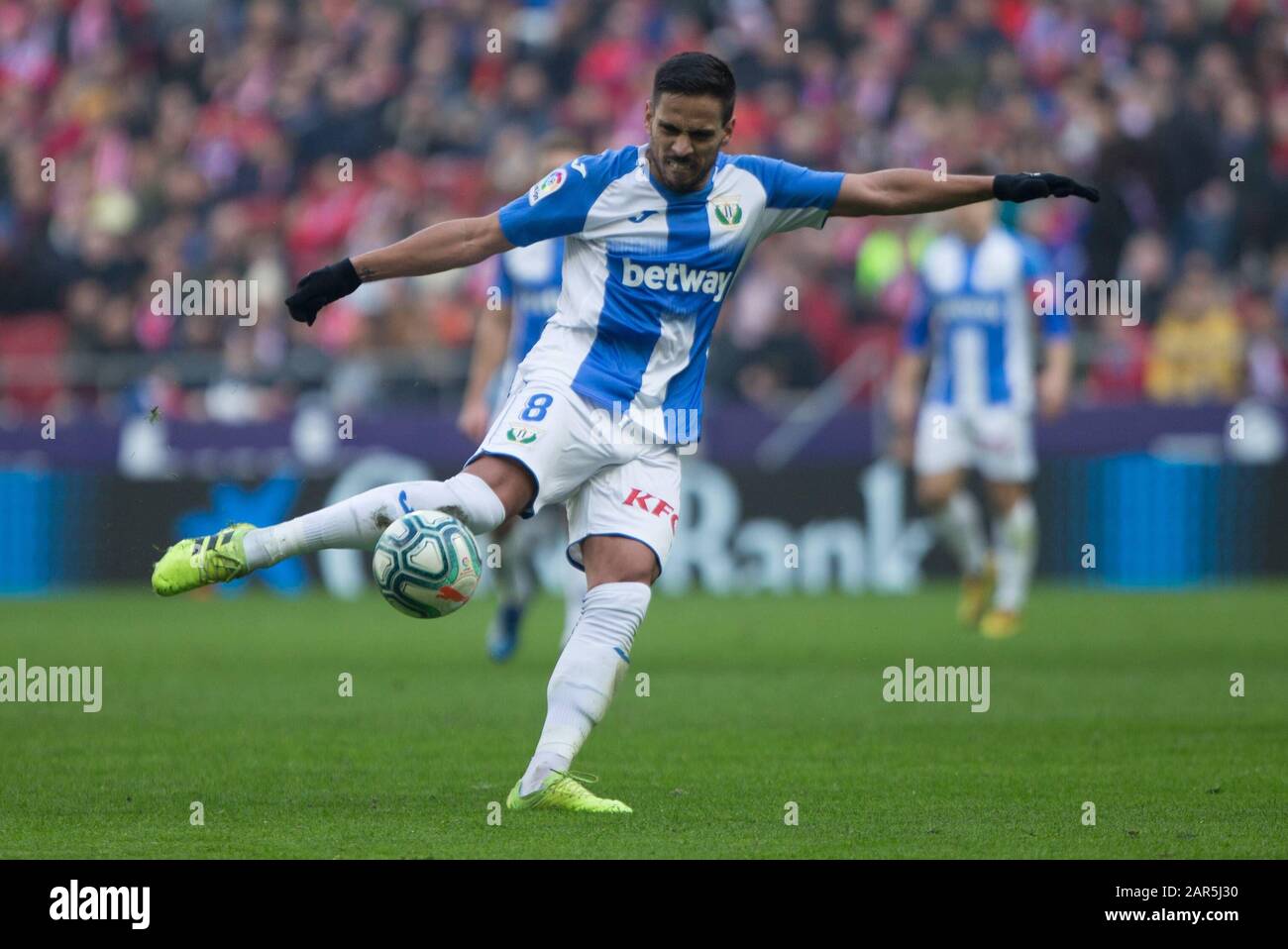 Recio de leganes hi-res stock photography and images - Alamy