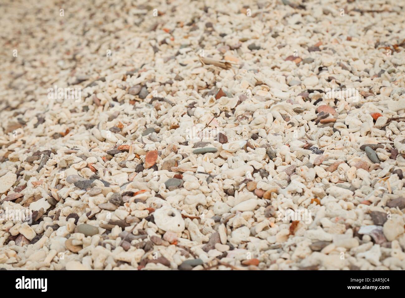 Closeup of sea stones under sunlight - a cool picture for backgrounds ...