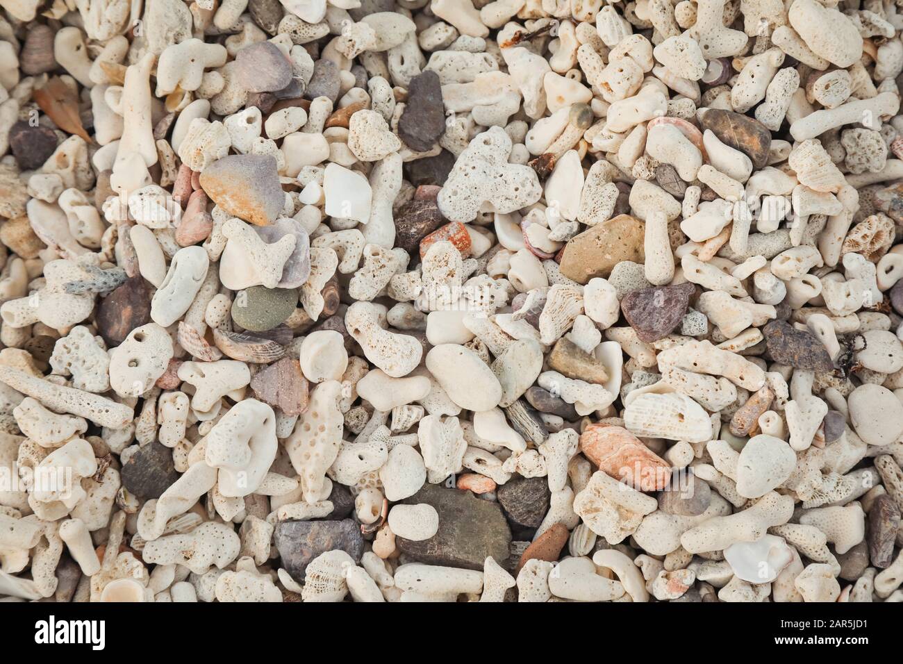 Closeup of sea stones under sunlight - a cool picture for backgrounds ...