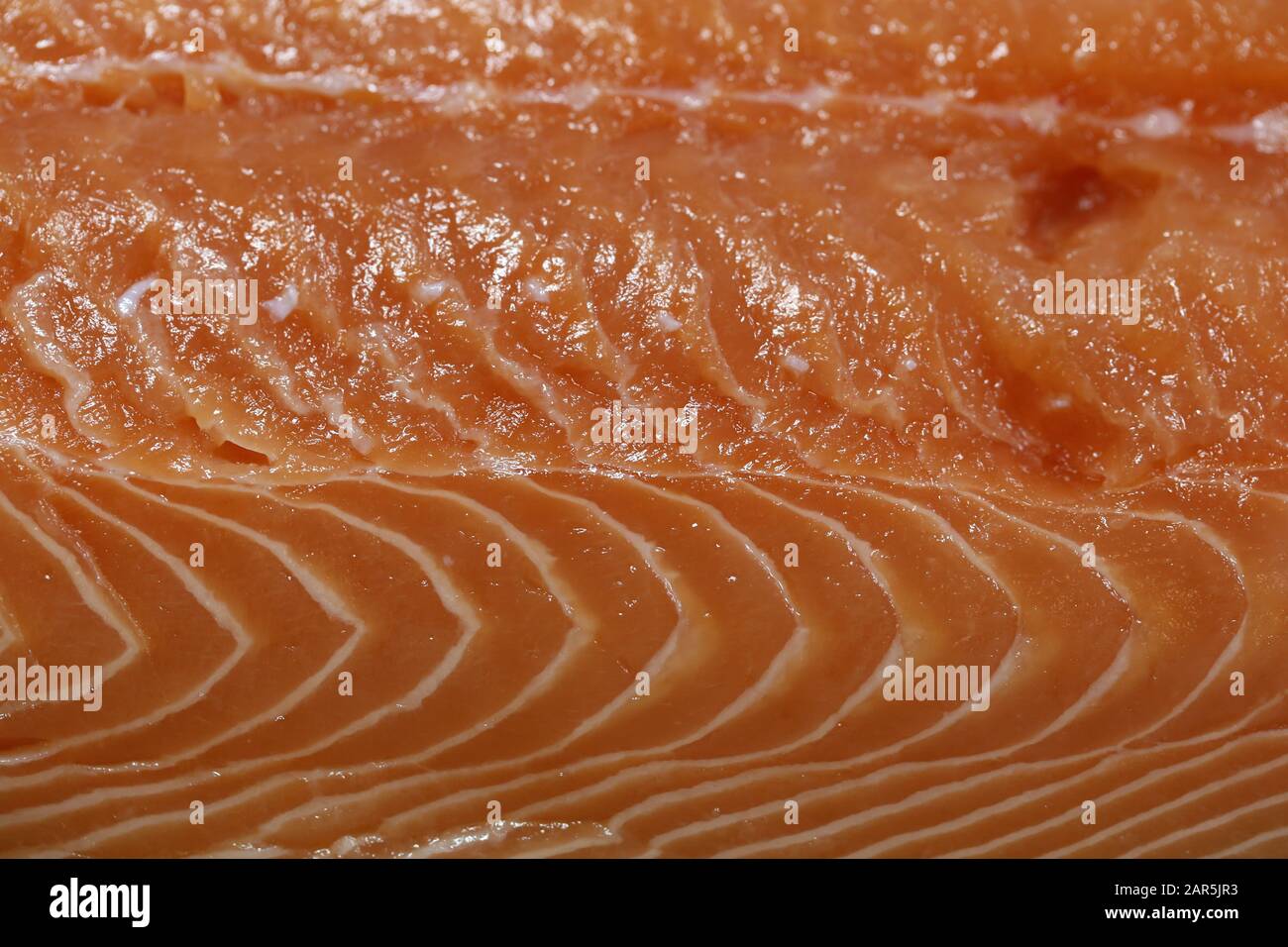 Norwegian salmon fillet in a closeup. Beautiful red color and texture ...