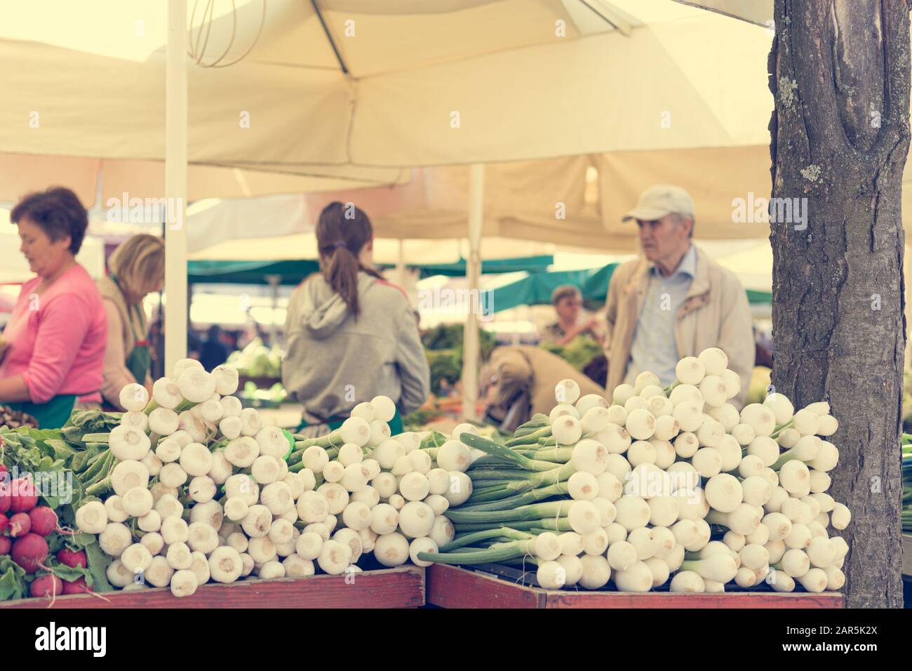 Vegetable stand at open market selling variety of vegetables Stock ...