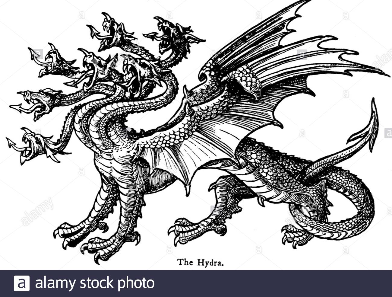 Hydra mythology hi-res stock photography and images - Alamy