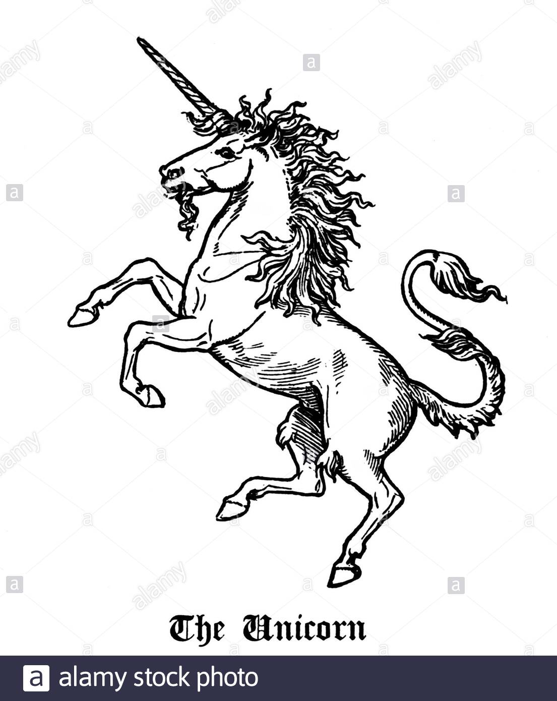 Unicorn unicorns Cut Out Stock Images & Pictures - Alamy