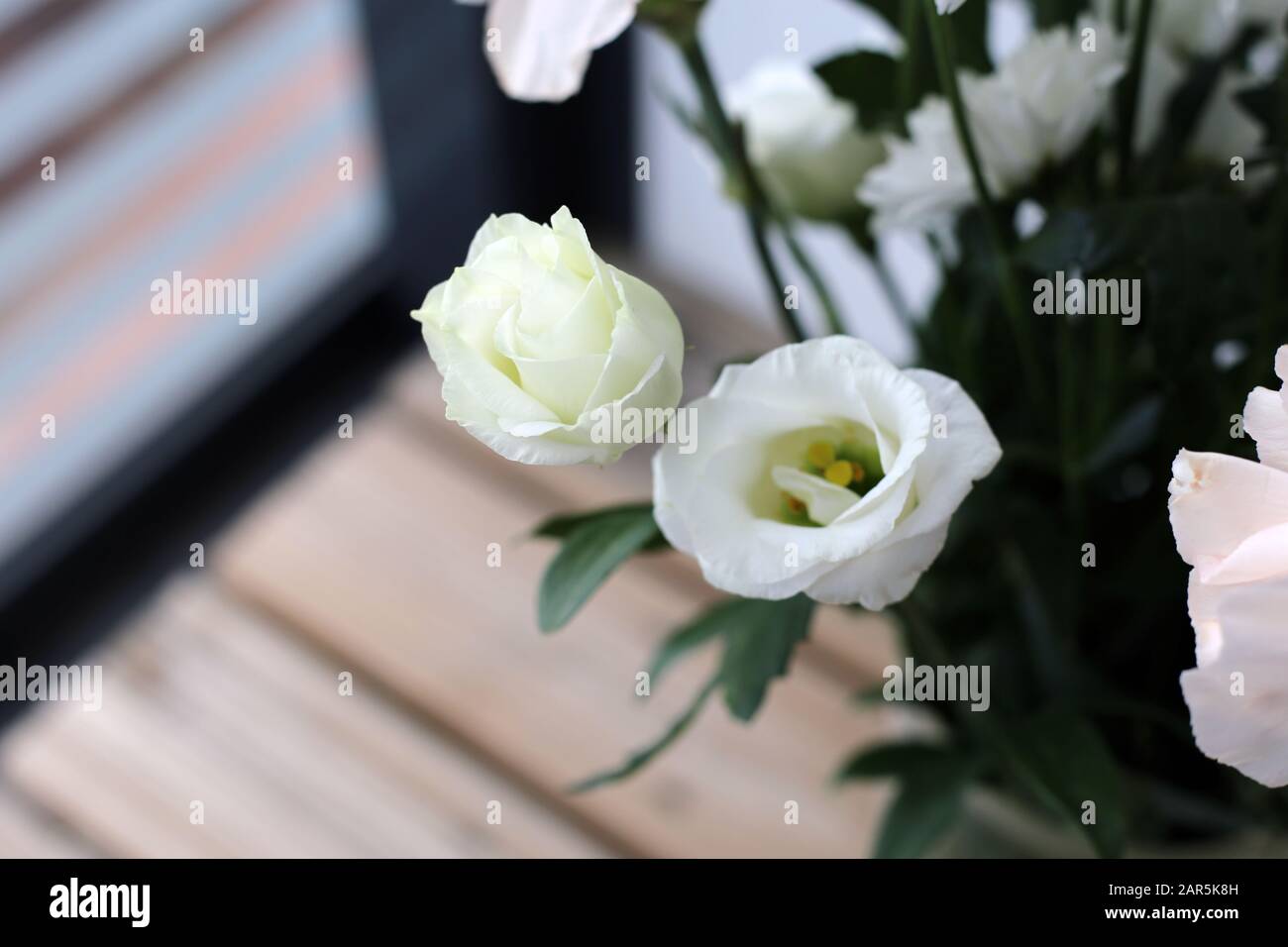 Super cute, light color flower bouquets including baby pink and white ...