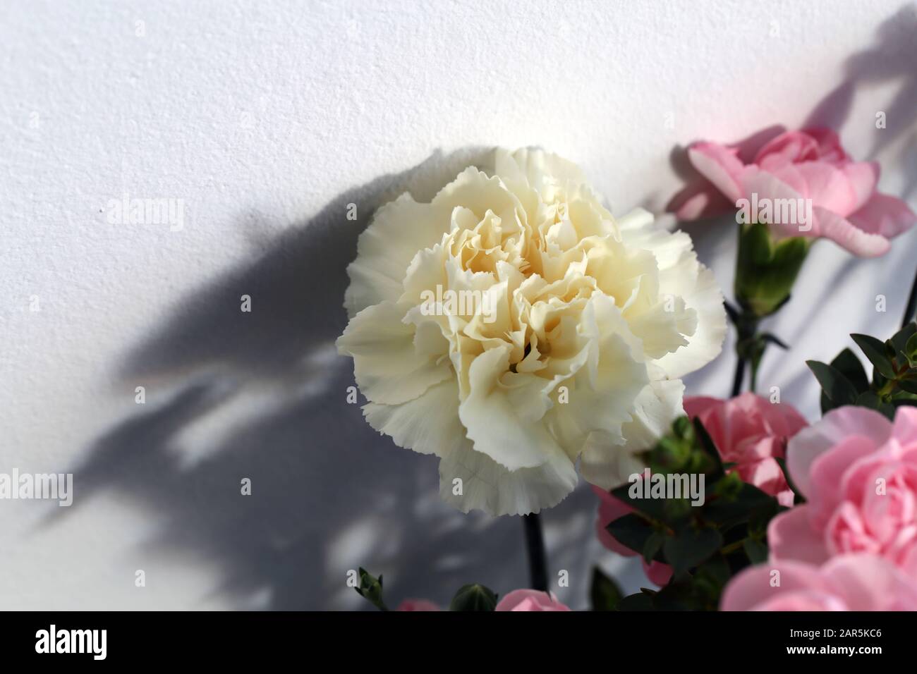 Super cute, light color flower bouquets including baby pink and white ...