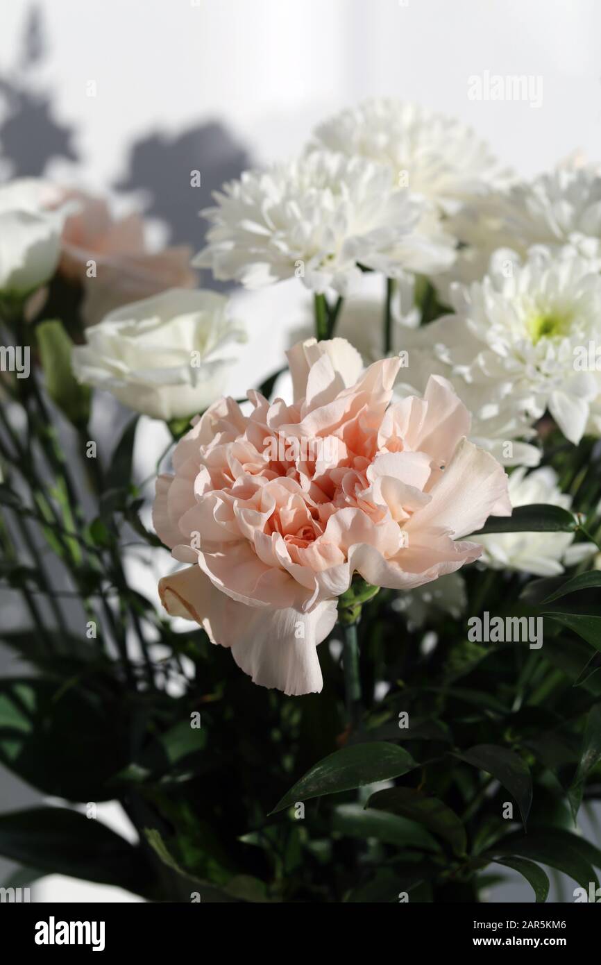 Super cute, light color flower bouquets including baby pink and white ...