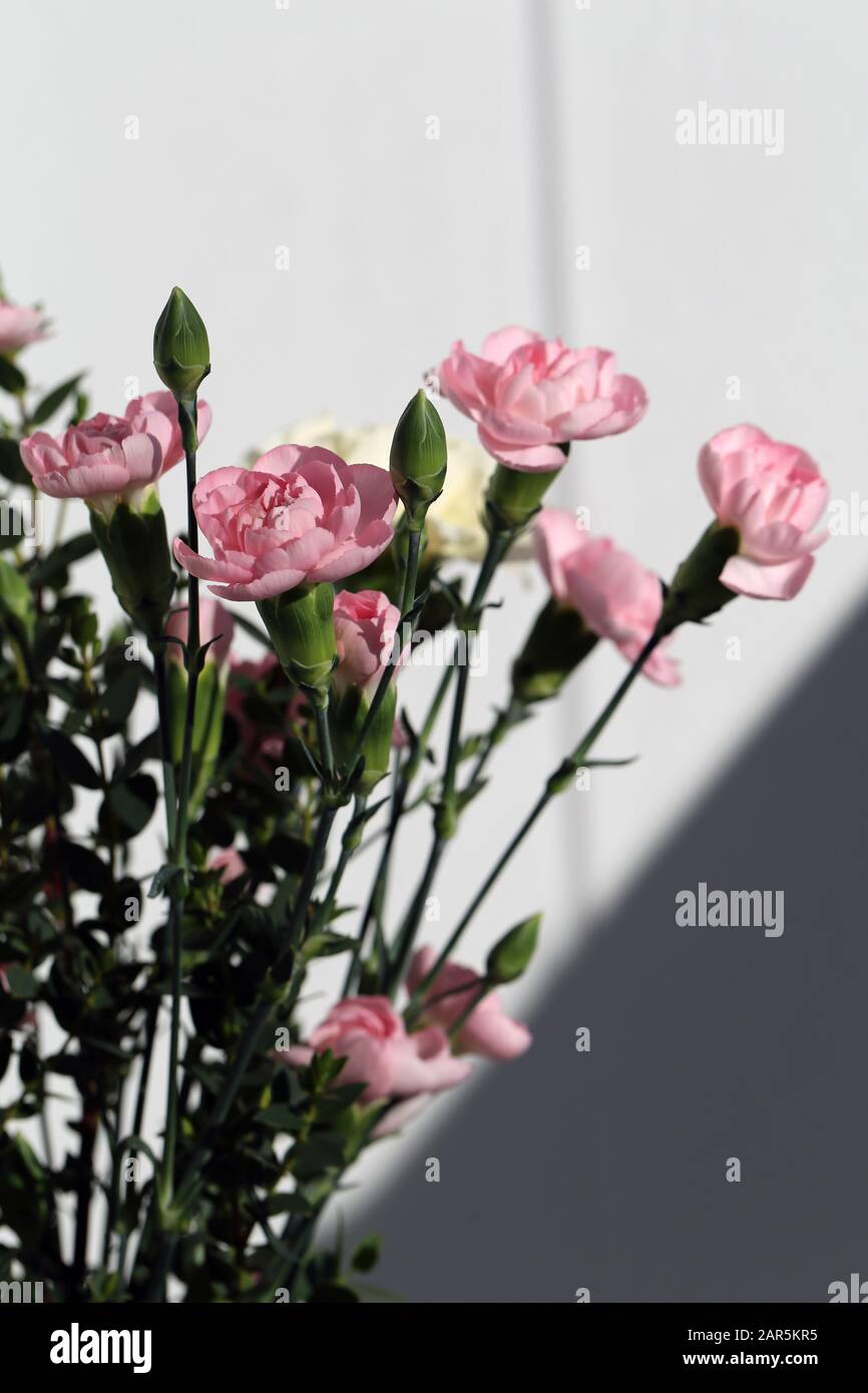 Super cute, light color flower bouquets including baby pink and white ...