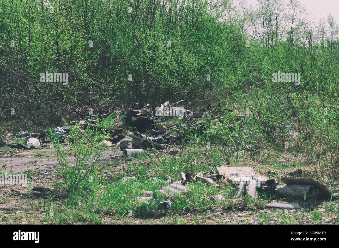Piles of waste and miscellaneous garbage among growing green shrubs in ...