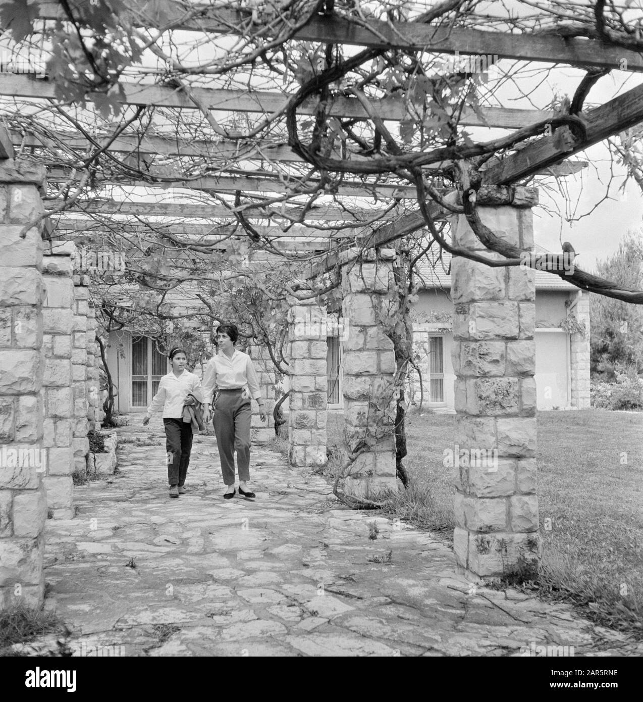 Israel 1964-1965: Dalia (Dalya), street images Kibbutz Dalya. Pergola ...