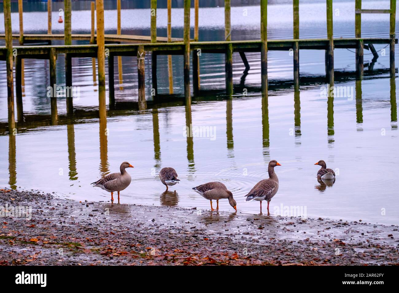 Wooden jetty slipway hi-res stock photography and images - Alamy