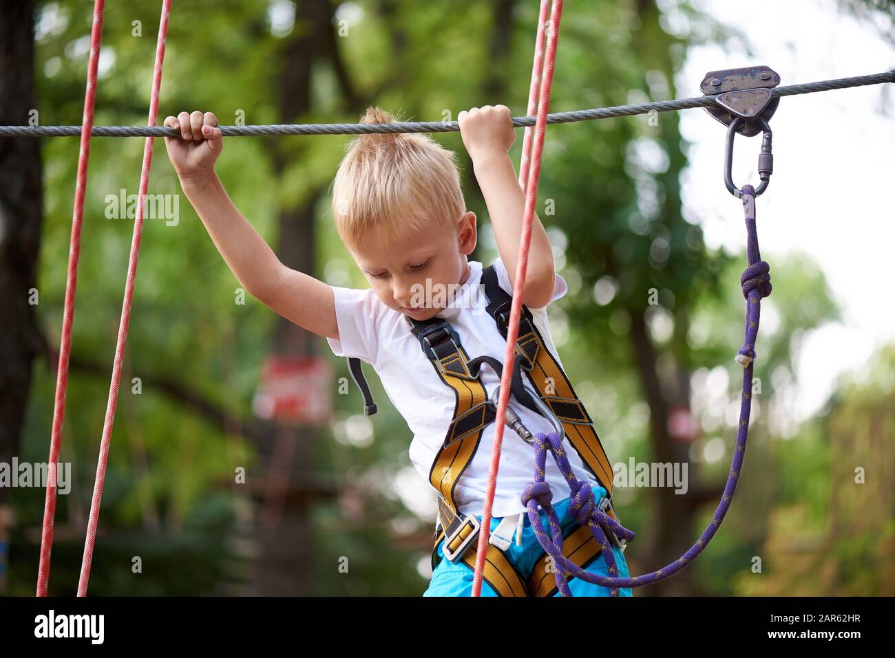 Little boy overcomes the obstacle in the rope park Stock Photo - Alamy