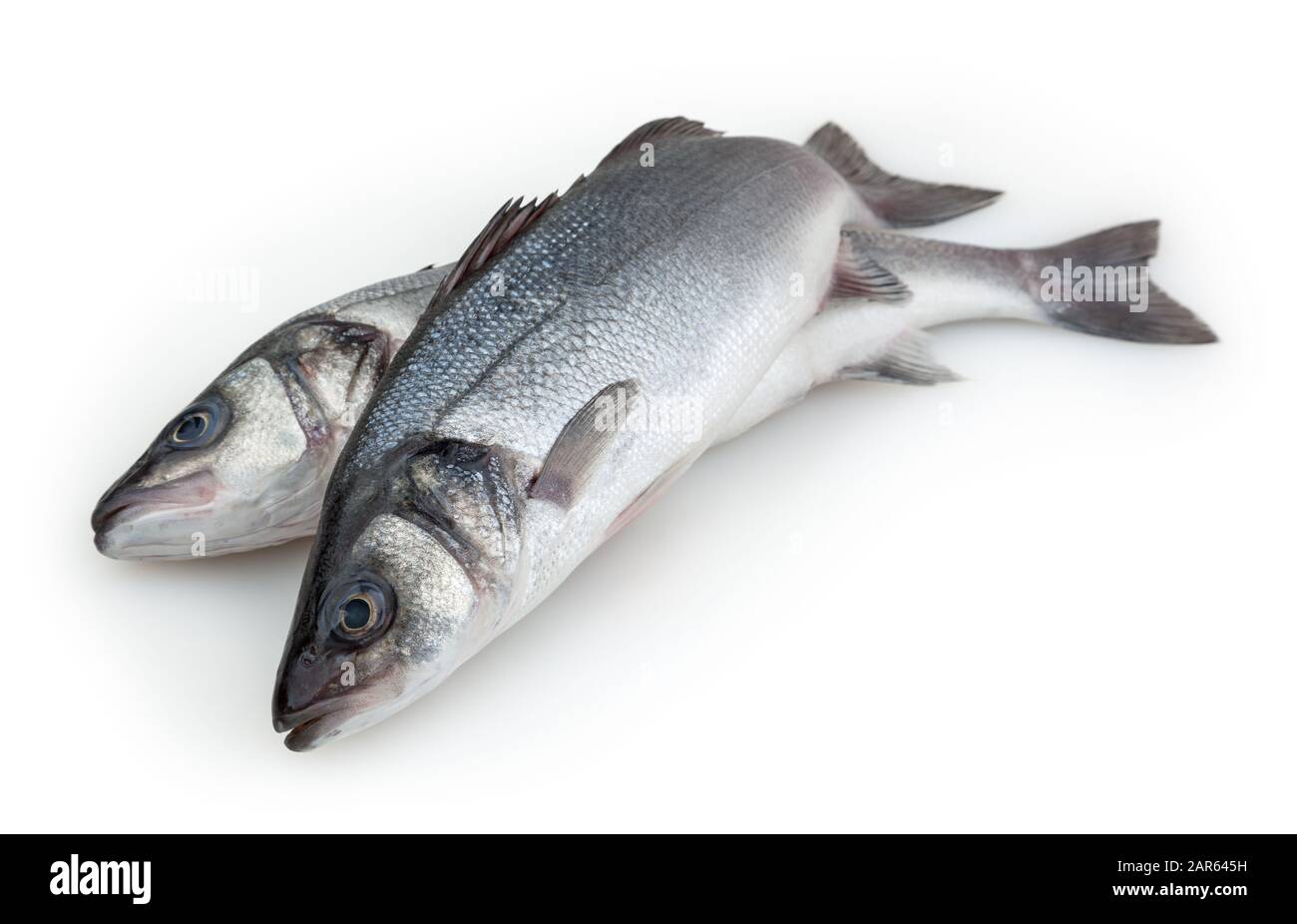 Wih Cut Out Stock Images & Pictures - Alamy