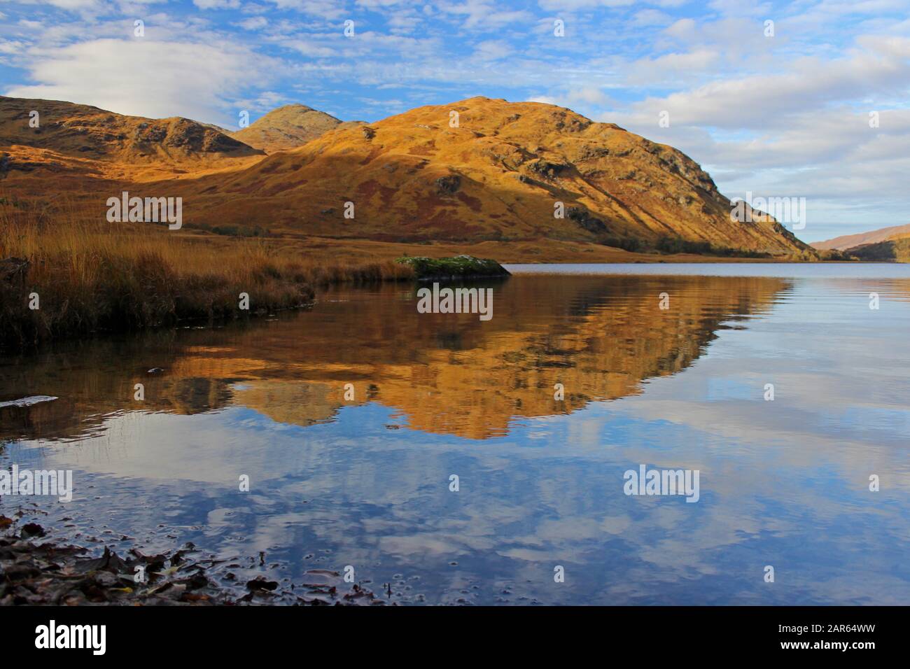Loch Eilt Scotland High Resolution Stock Photography and Images - Alamy
