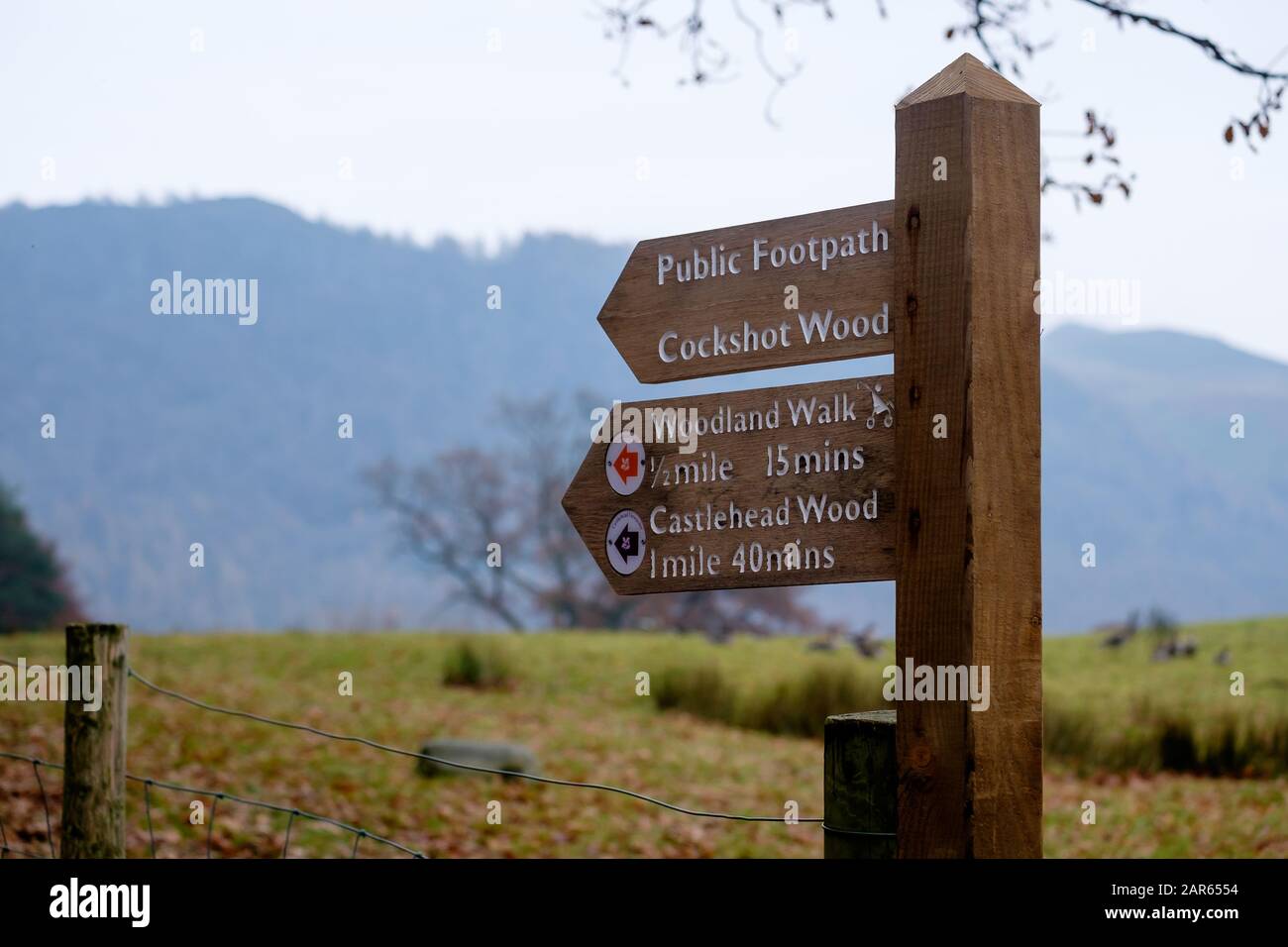 Footpath marker tree yellow arrow hi-res stock photography and images ...