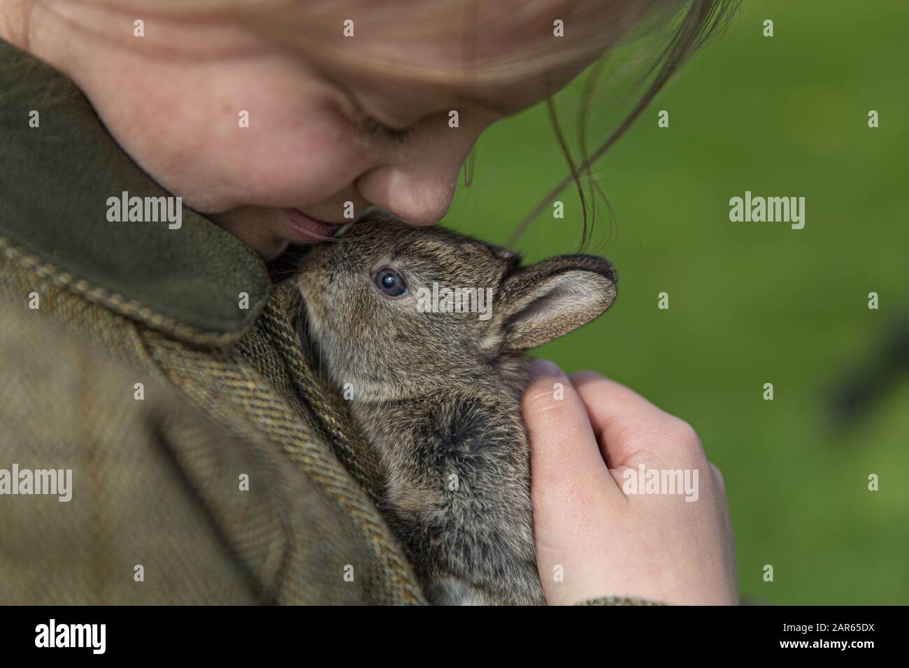 Child petting pet rabbit hi-res stock photography and images - Alamy