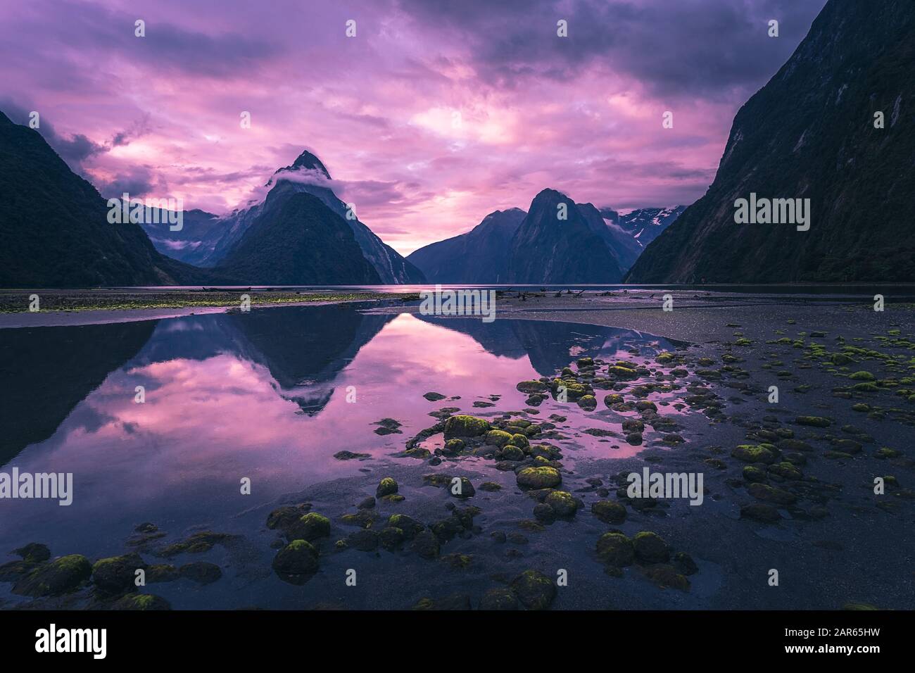 Stunning sunset at Milford Sound, New Zealand Stock Photo - Alamy