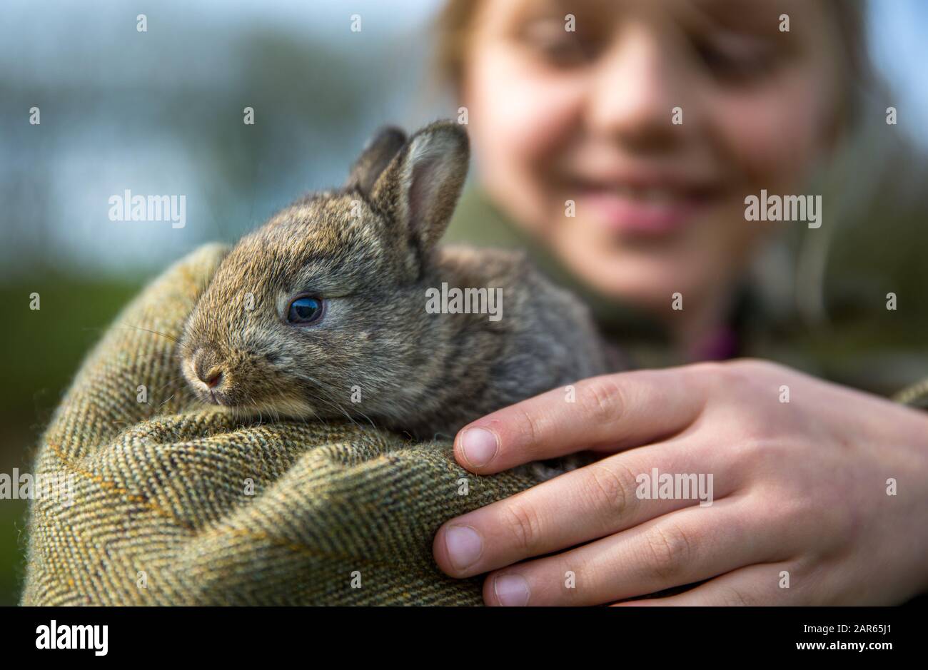 Baby bunny rabbit hi-res stock photography and images - Alamy