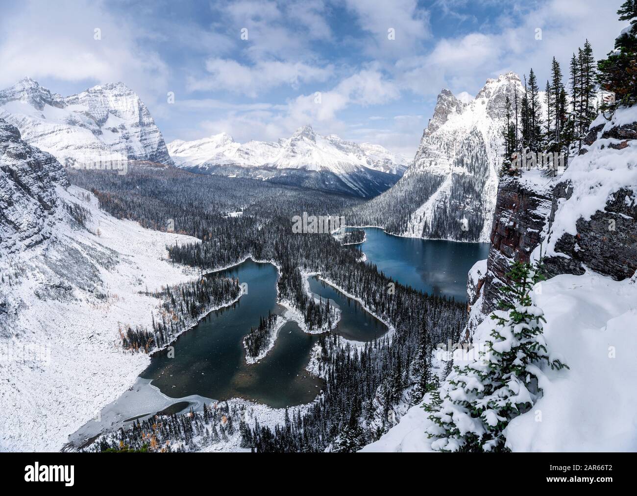 Opabin plateau hi-res stock photography and images - Alamy