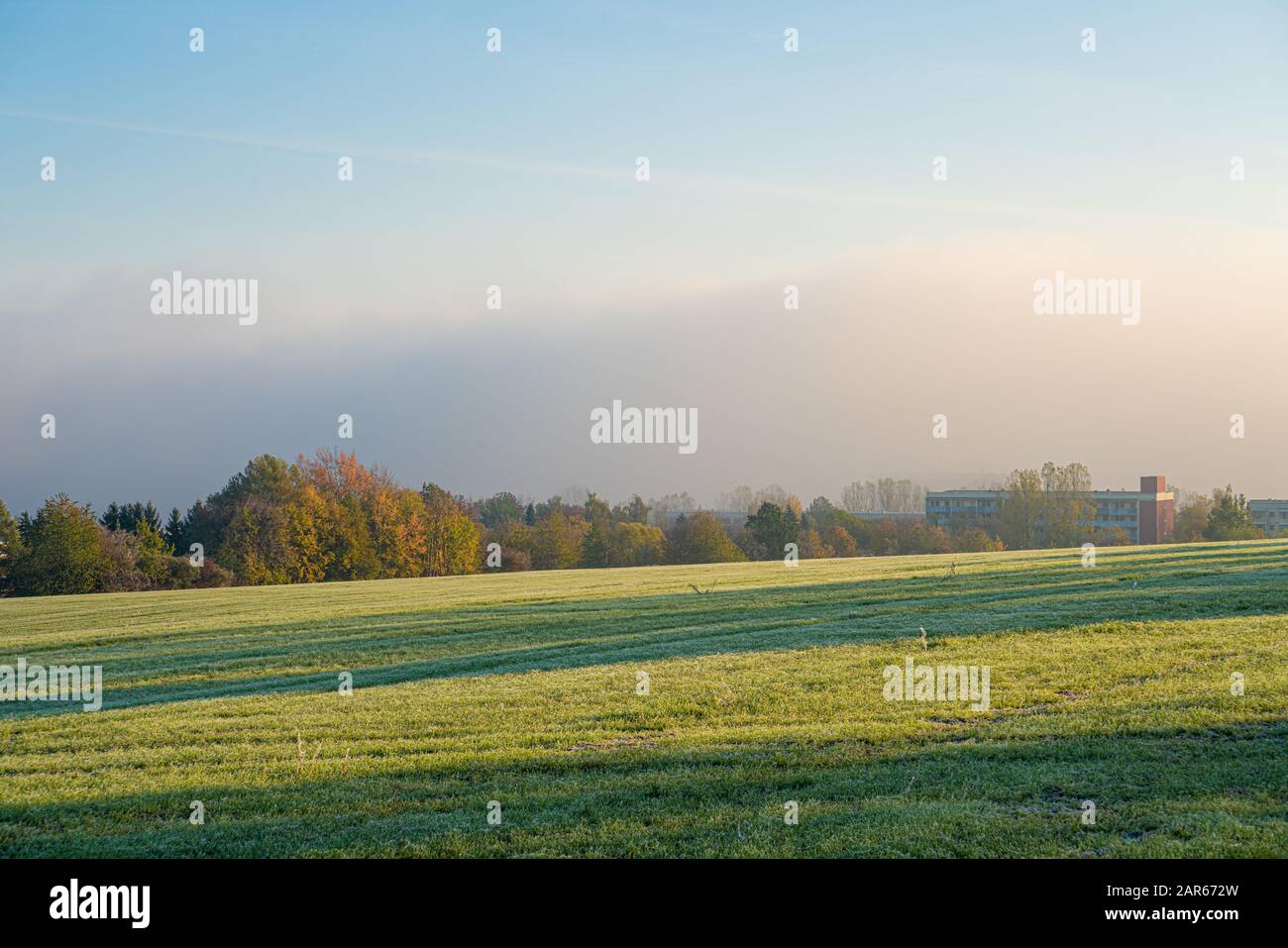 Spring green field near city an early morning Stock Photo - Alamy