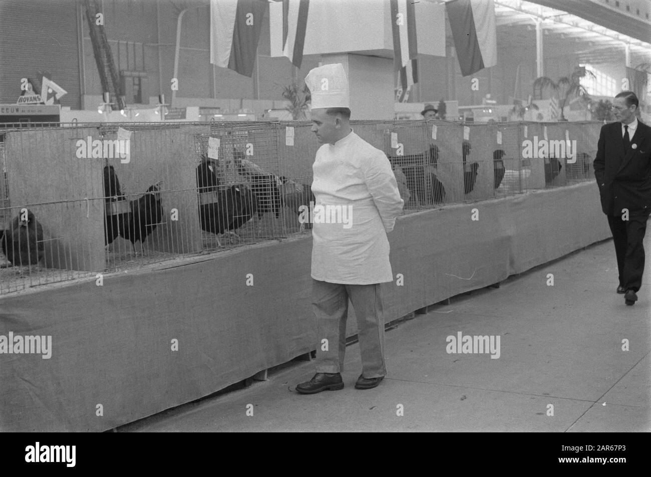 Breeding association name hi-res stock photography and images - Alamy