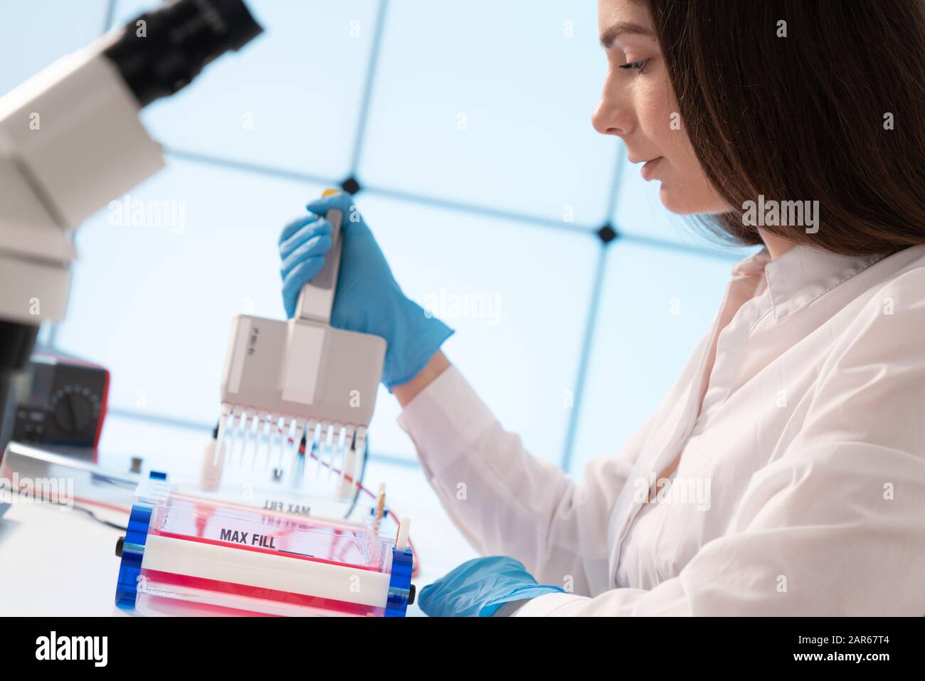 Loading Samples and Running an Agarose Gel for electrophoresis, Gel ...