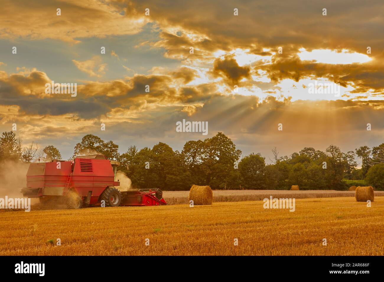 Image of a combine harvester in the evening sunshine Stock Photo - Alamy