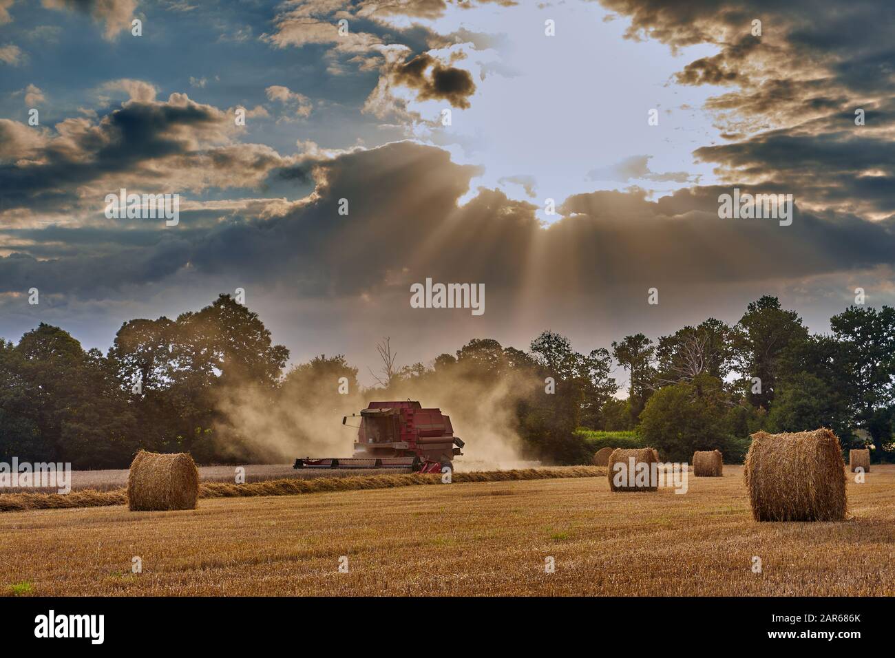 Image of a combine harvester in the evening sunshine Stock Photo - Alamy