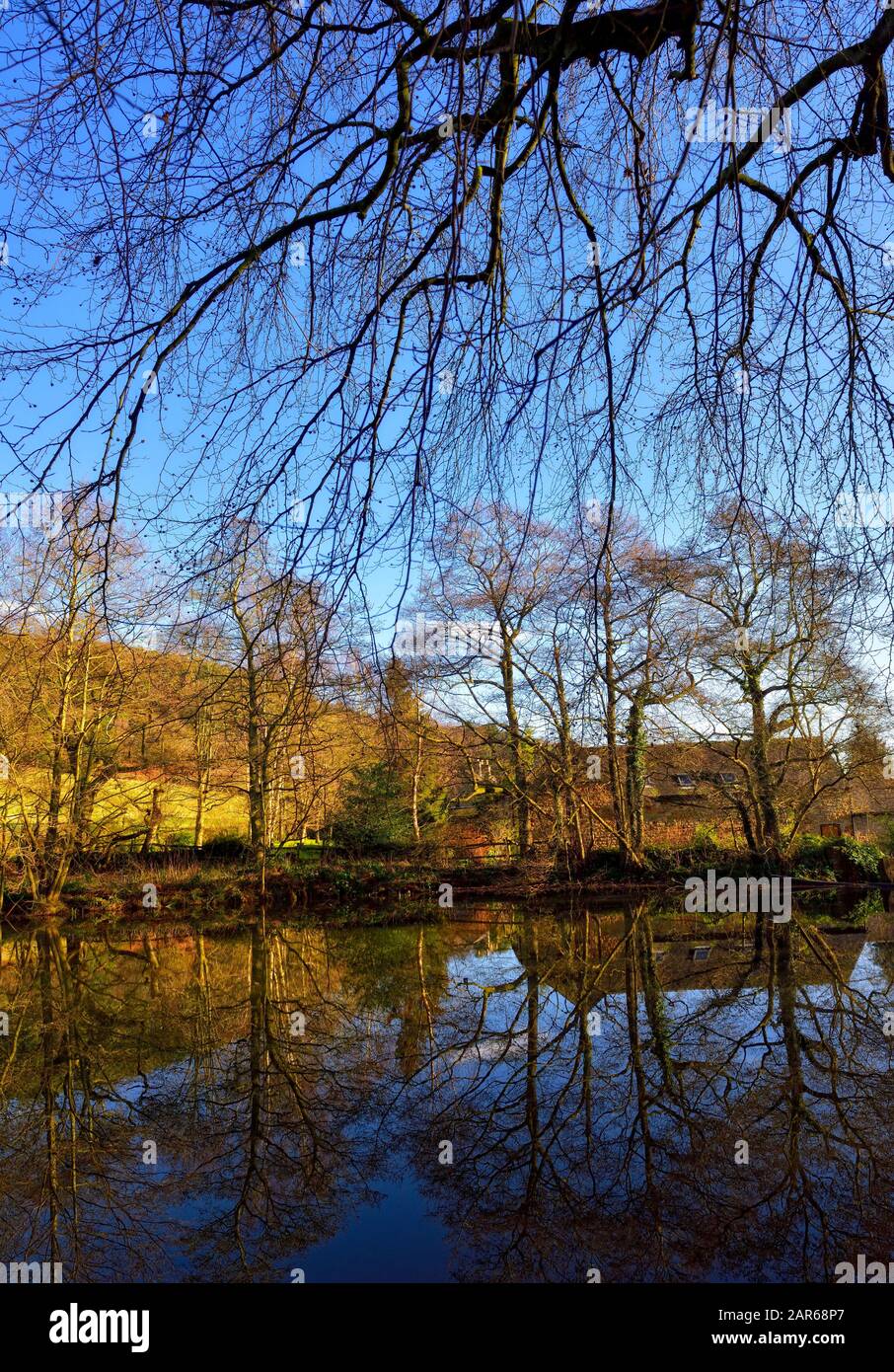 Lumsdale lower pond,Lumsdale valley,Matlock,Derbyshire,Peak District ...
