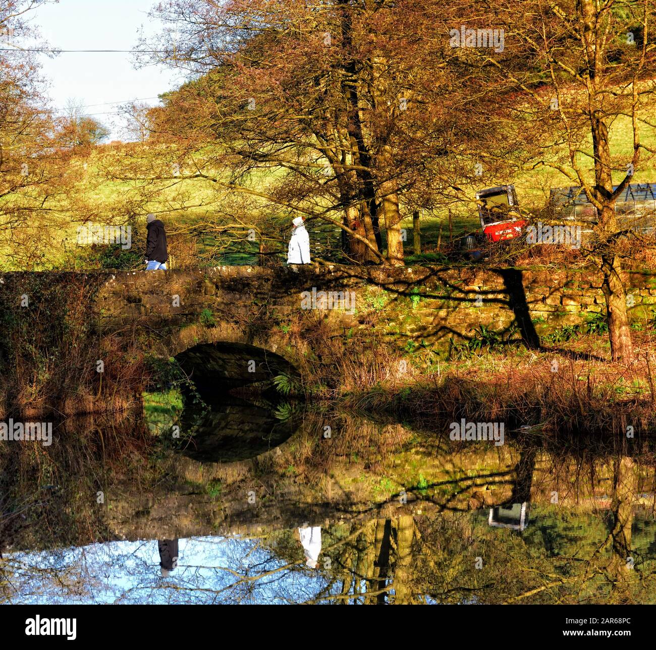 Lumsdale lower pond,Lumsdale valley,Matlock,Derbyshire,Peak District ...