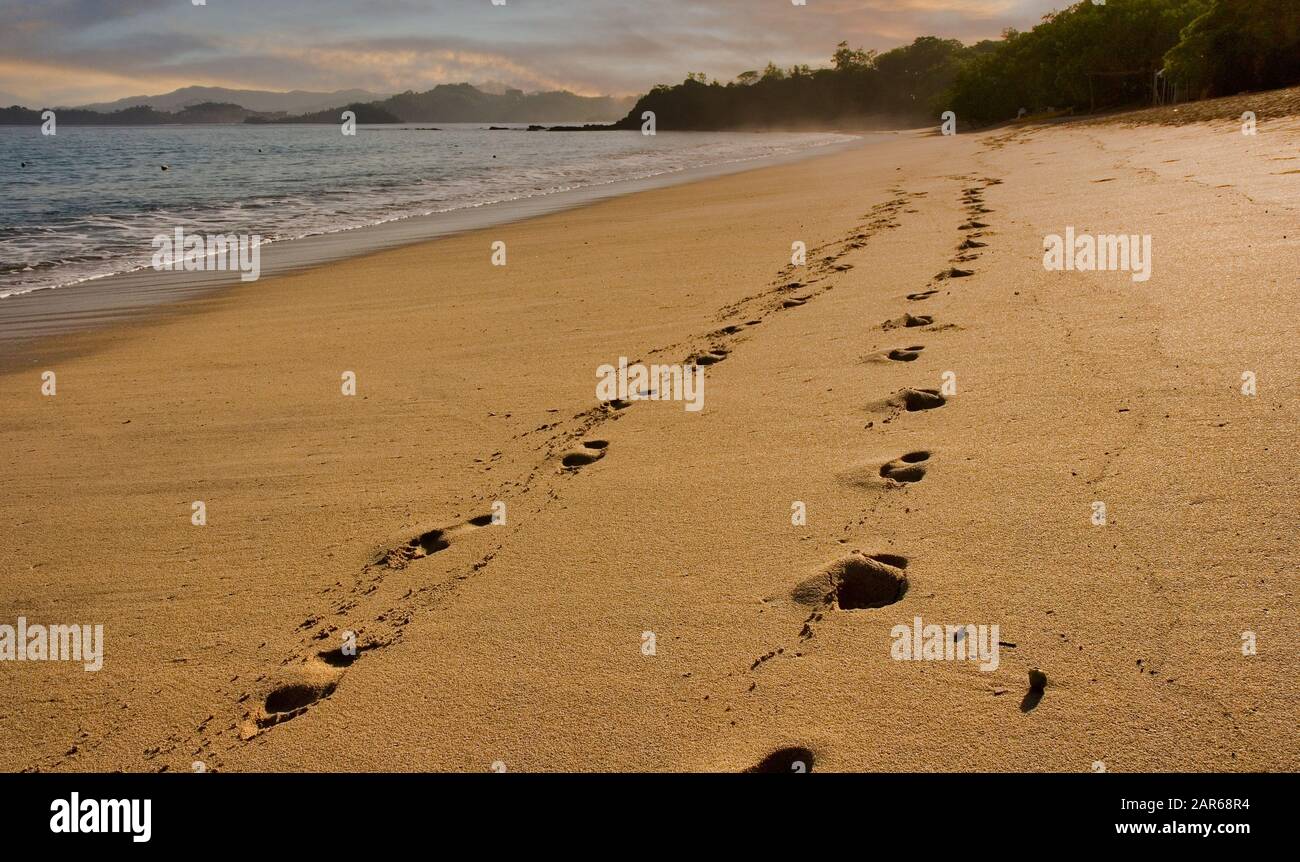 Foot path to the beach hi-res stock photography and images - Alamy