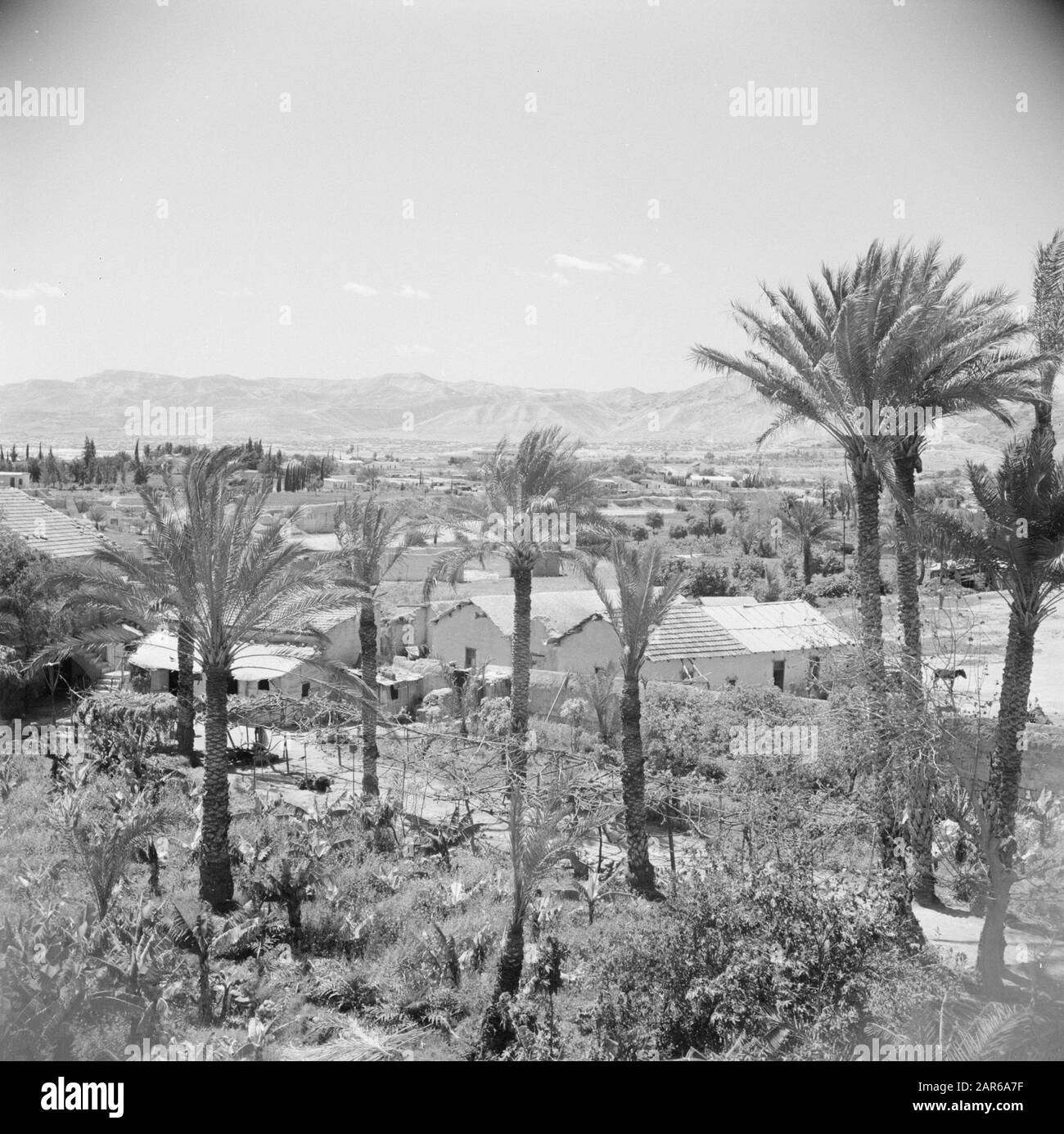Middle East 1950-1955: Jordan Landscape in the vicinity of Jericho. The ...