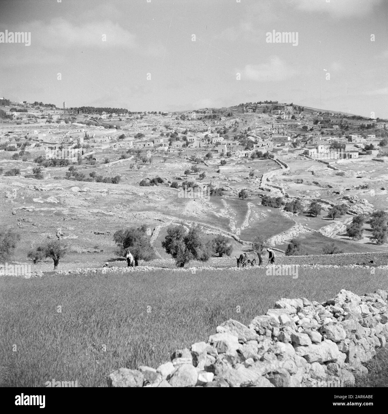 Middle East 1950-1955: Jordan Landscape in Bethany Annotation: At the ...
