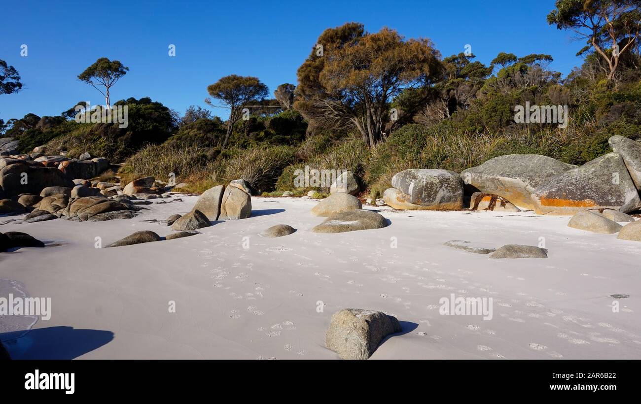Tasmanian Landscape Photos, Tasmania, Australia Stock Photo - Alamy