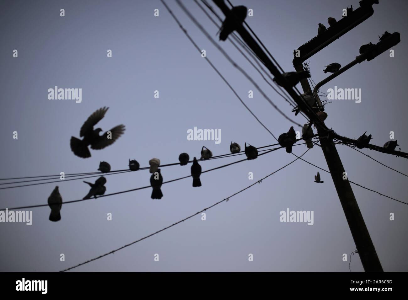 Hazrat shahjalal mazar hi-res stock photography and images - Alamy