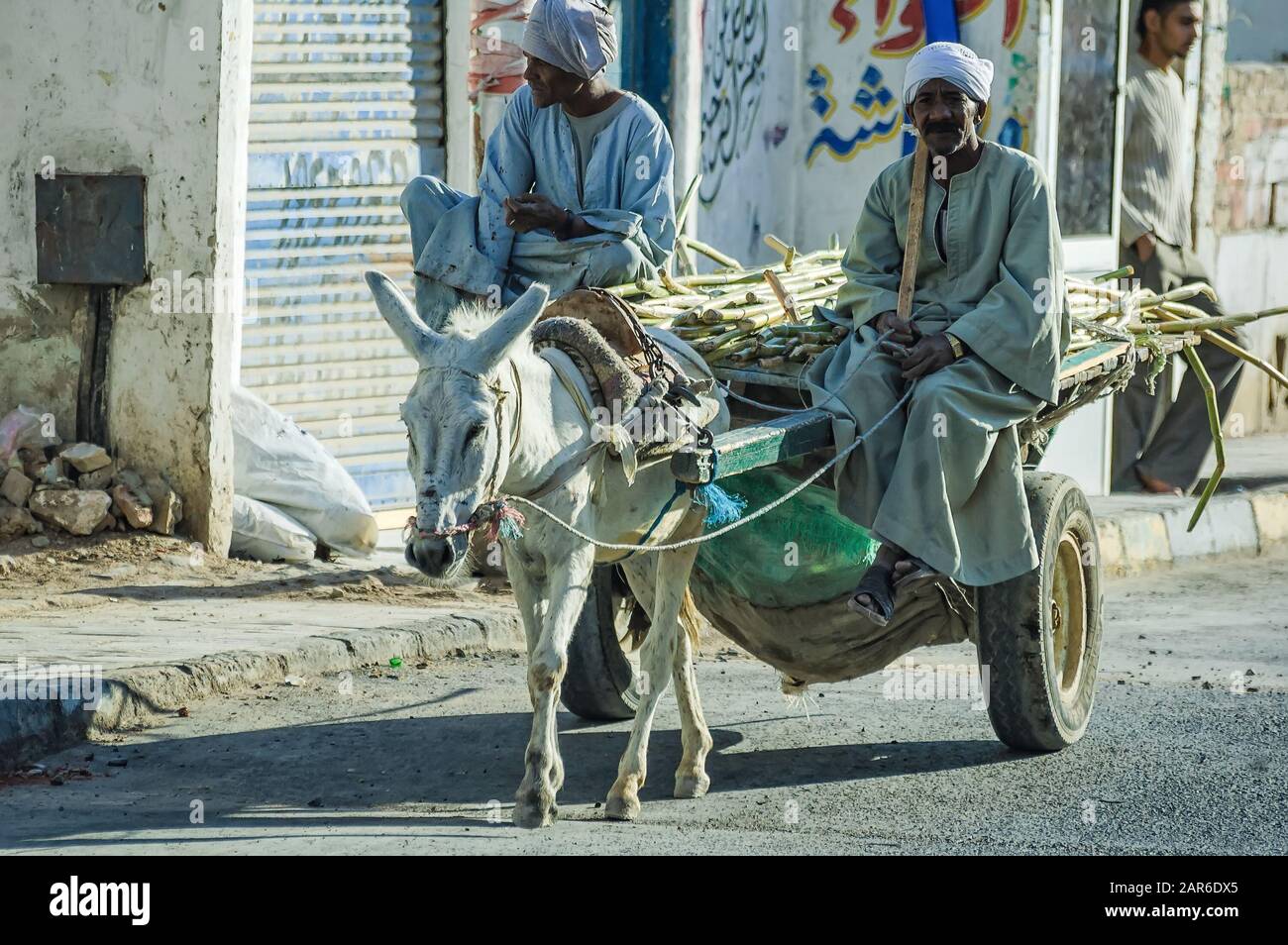 Arabian men ride his donkey chariot Stock Photo - Alamy