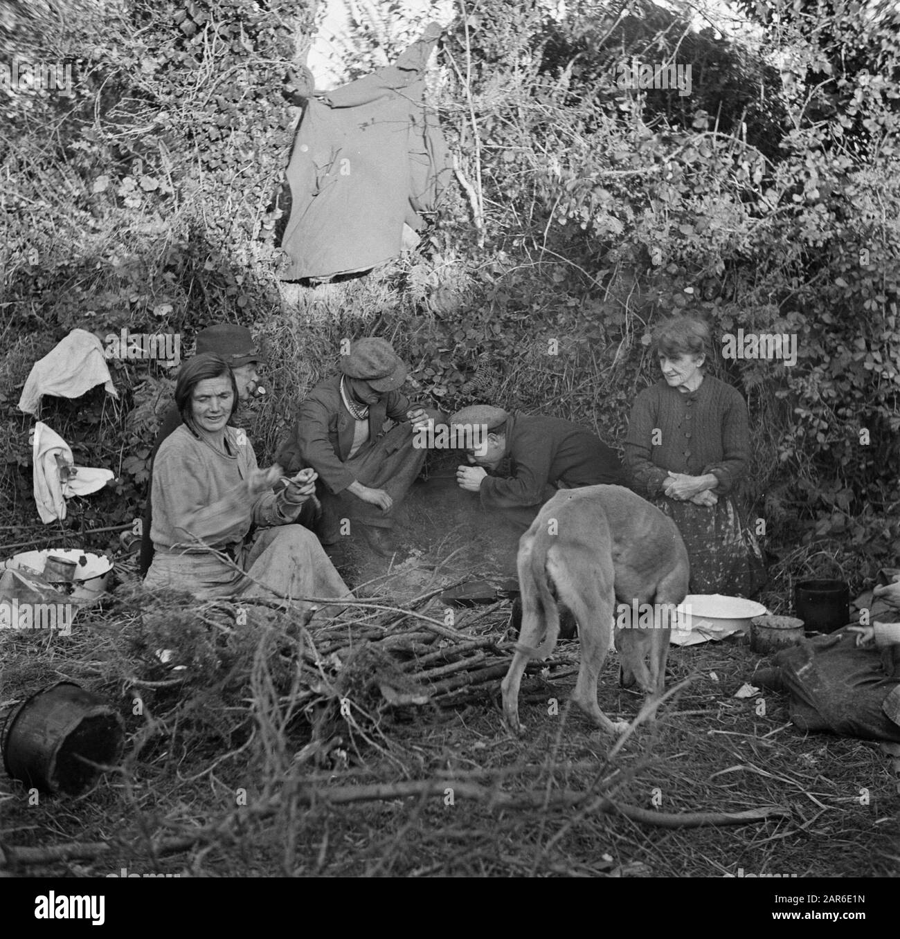 Willem tinker hi-res stock photography and images - Alamy