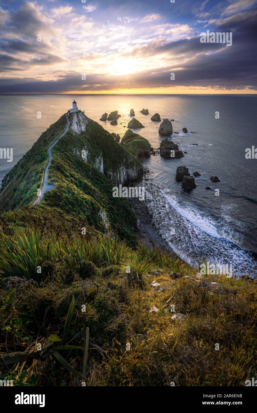 Nugget point night hi-res stock photography and images - Alamy