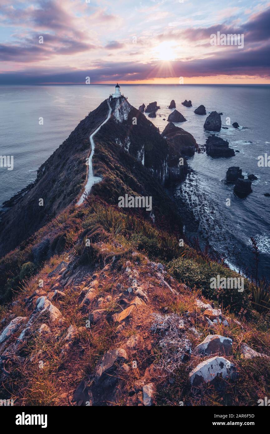 Nugget point night hi-res stock photography and images - Alamy